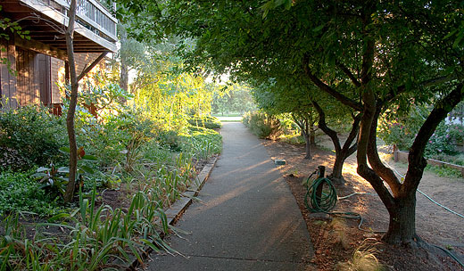 Village Homes of Davis, California. My number ONE holiday destination ...